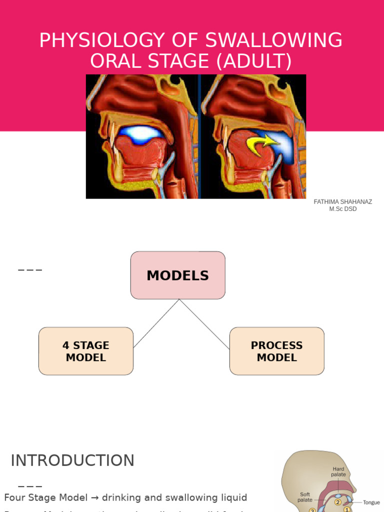 ORAL STAGE | PDF | Tongue | Primate Anatomy