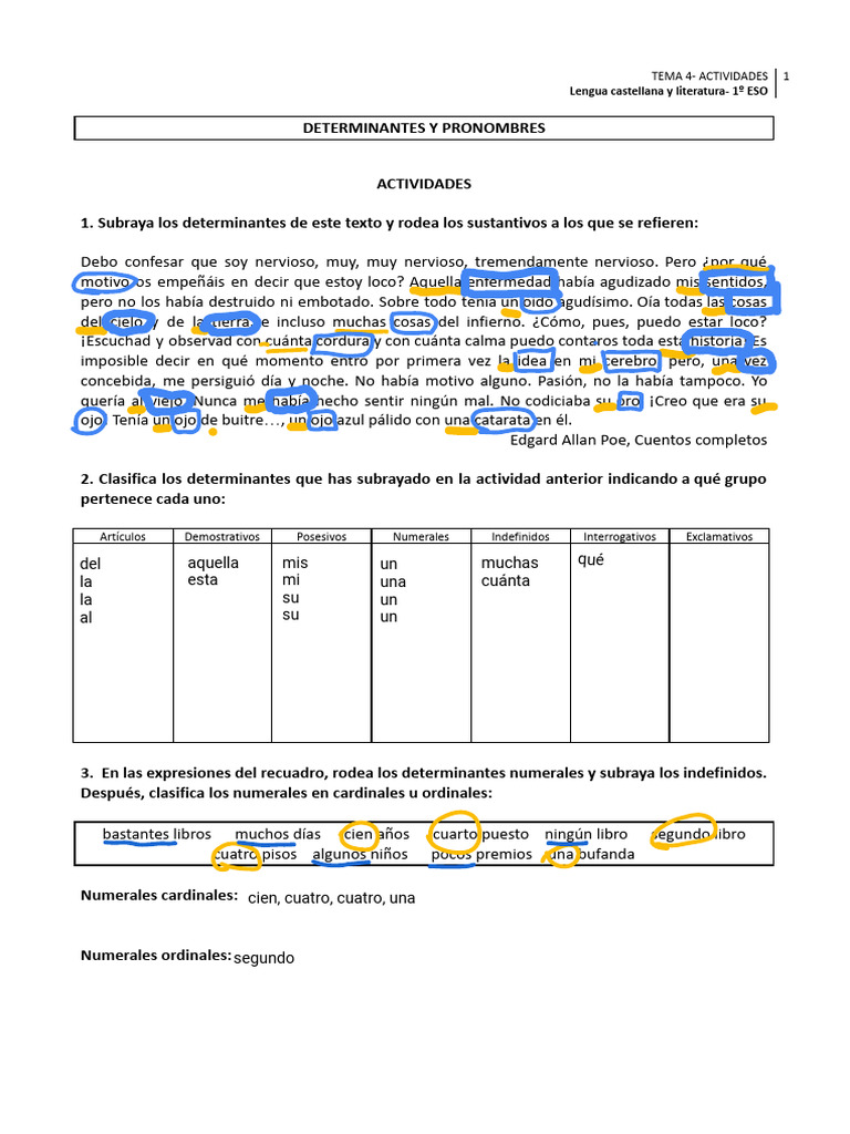 Actividades Determinantes y Pronombres | PDF | Semántica | Vocabulario