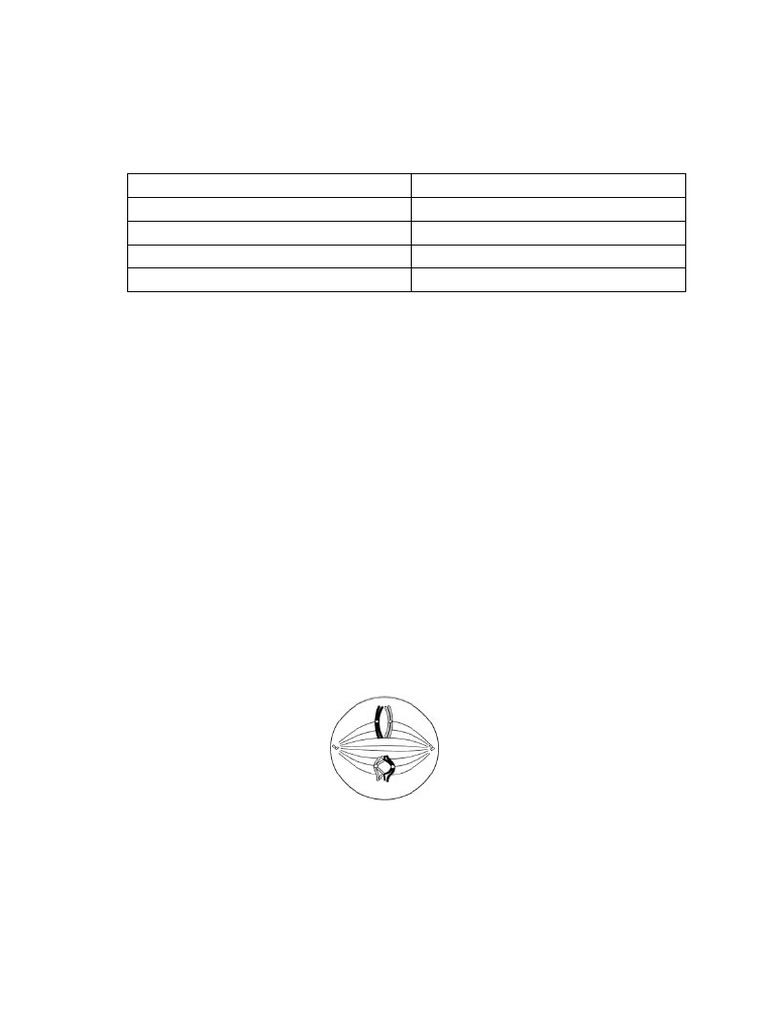 meiosis WORKSHEET | PDF | Meiosis | Ploidy