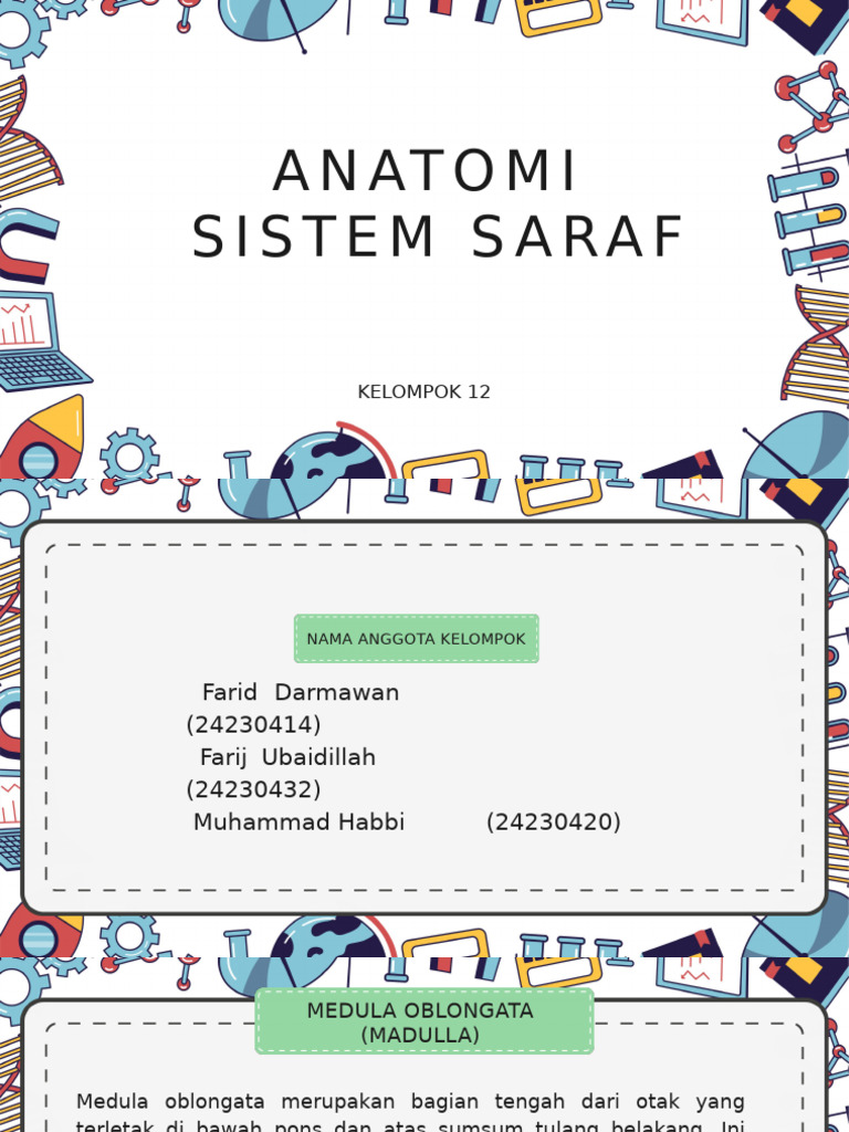 k.12 Anatomi Sistem Saraf | PDF