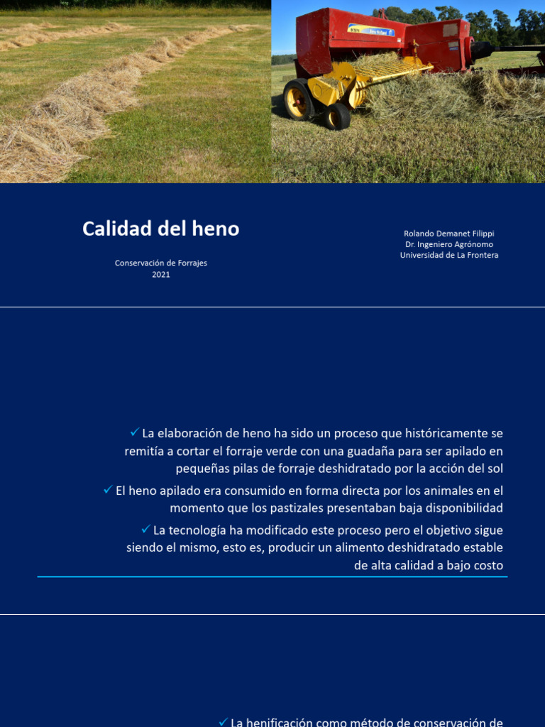 Calidad Del Heno | PDF | Heno | Pasto