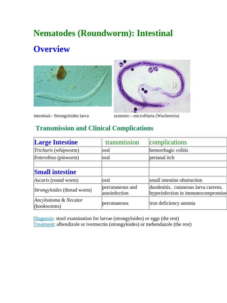 Nematodes | PDF | Diseases And Disorders | Microbiology