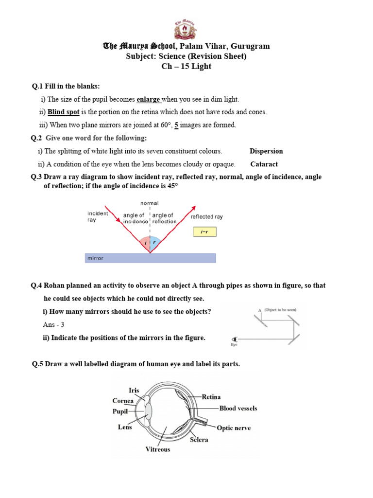 Grade 8 Science Revision Sheets (Answer Key) | PDF | Mars | Cell (Biology)