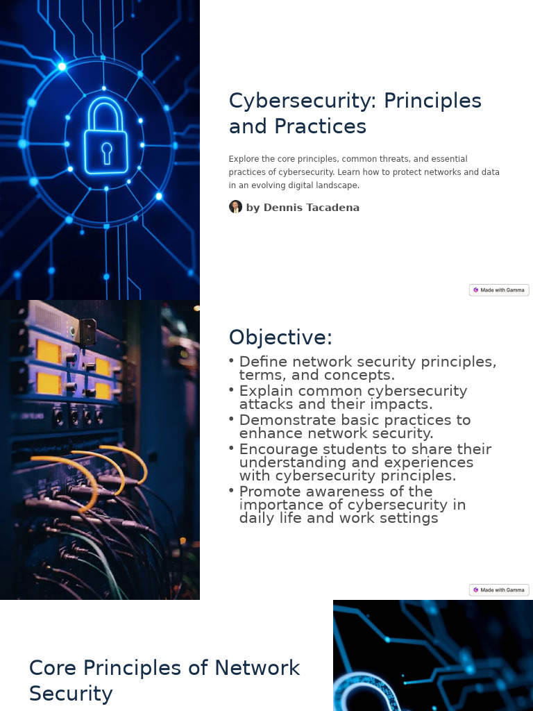 Cybersecurity Principles and Practices | PDF | Security | Computer Security