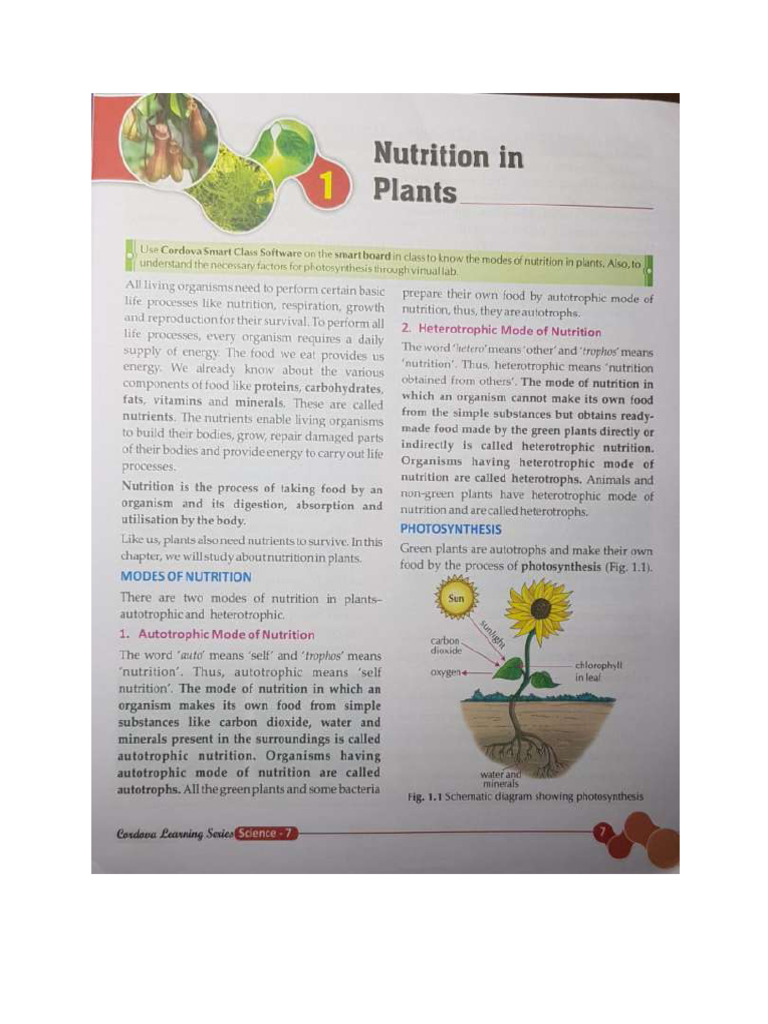 Class VII Science eBook (5) | PDF