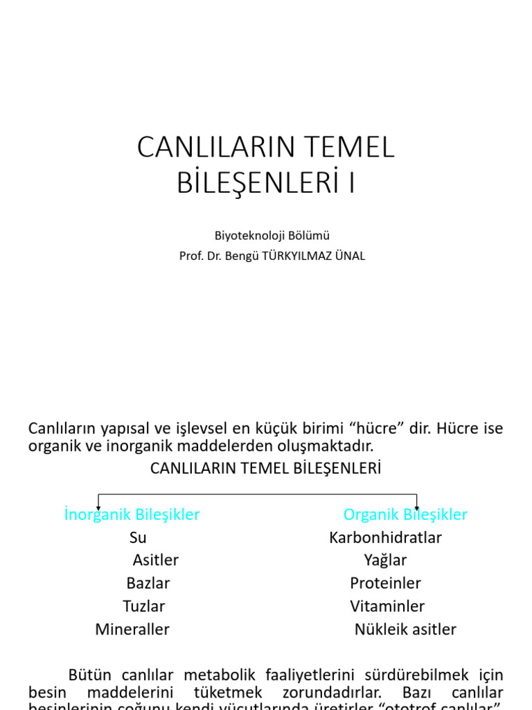 Canlıların Temel Bileşenleri 1 | PDF