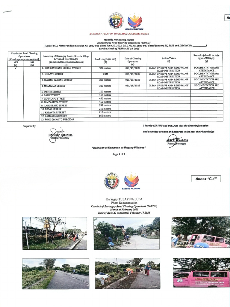 Road Clearing February | PDF