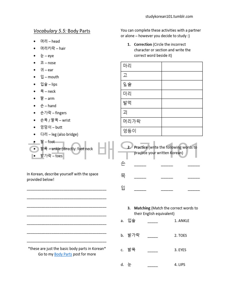 Korean Vocabulary: Body Parts Guide | PDF