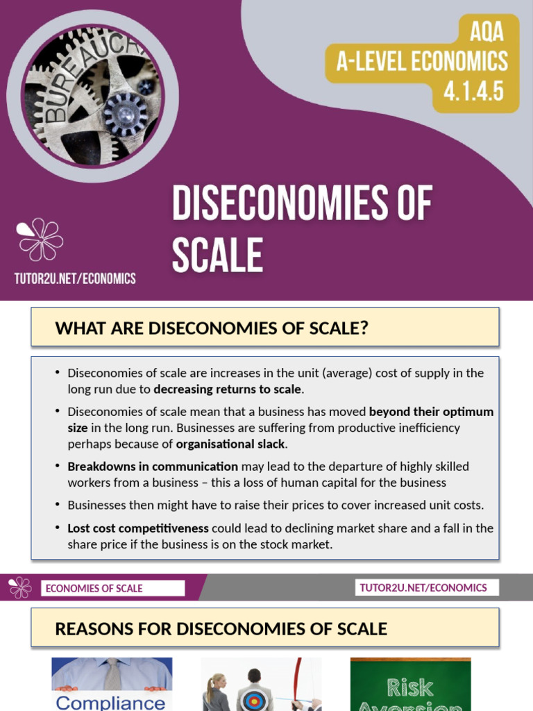 Understanding Diseconomies of Scale | PDF | Economies Of Scale | Economics