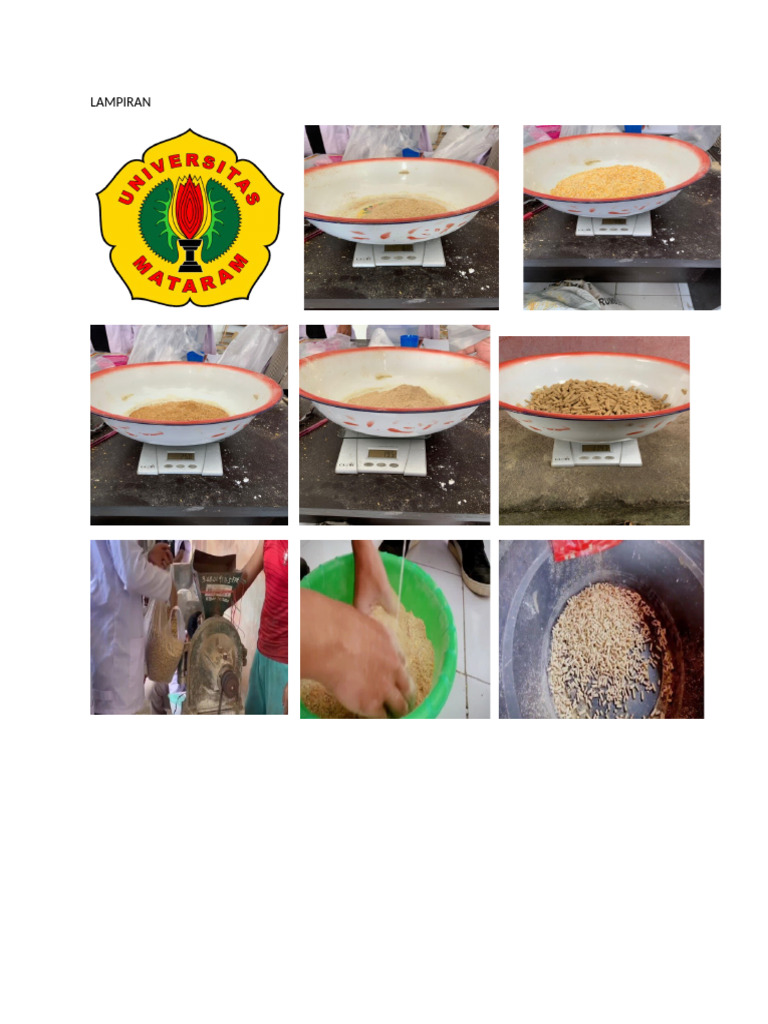 LAMPIRAN Laporan Industri Pakan | PDF