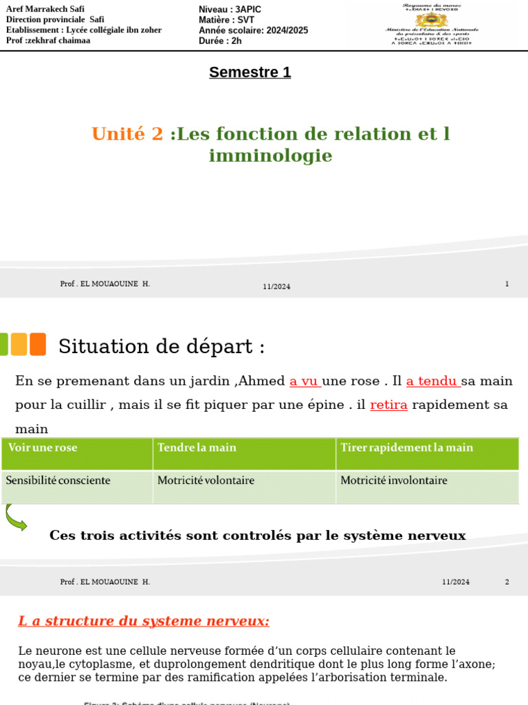 cours 1 | PDF | Système nerveux | Nerf