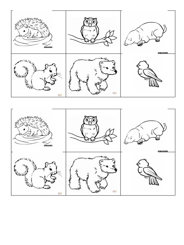 Forest Animals Bingo 2 | PDF