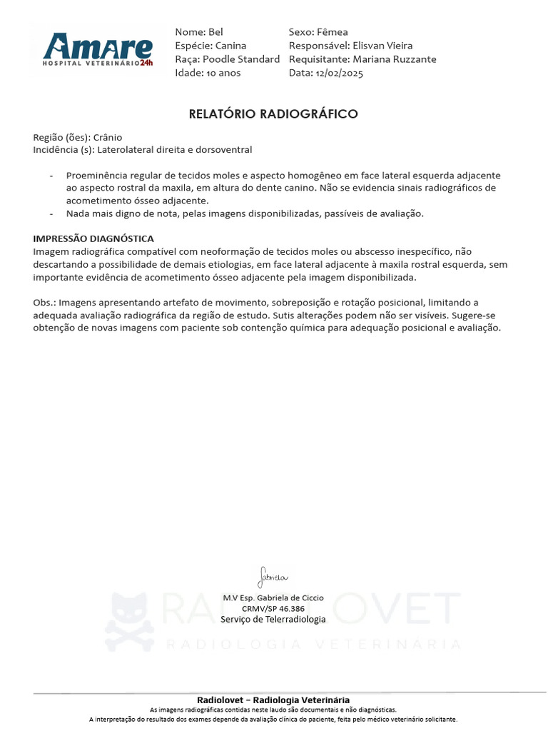 RAIO X AMARE BEL RESP ELISVAN - Docx (1) - 1 | PDF | Radiologia | Remédio
