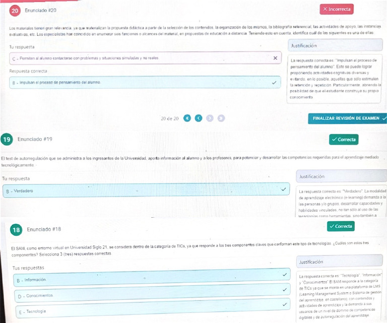 Parcial 2 - Ed A Distancia | PDF