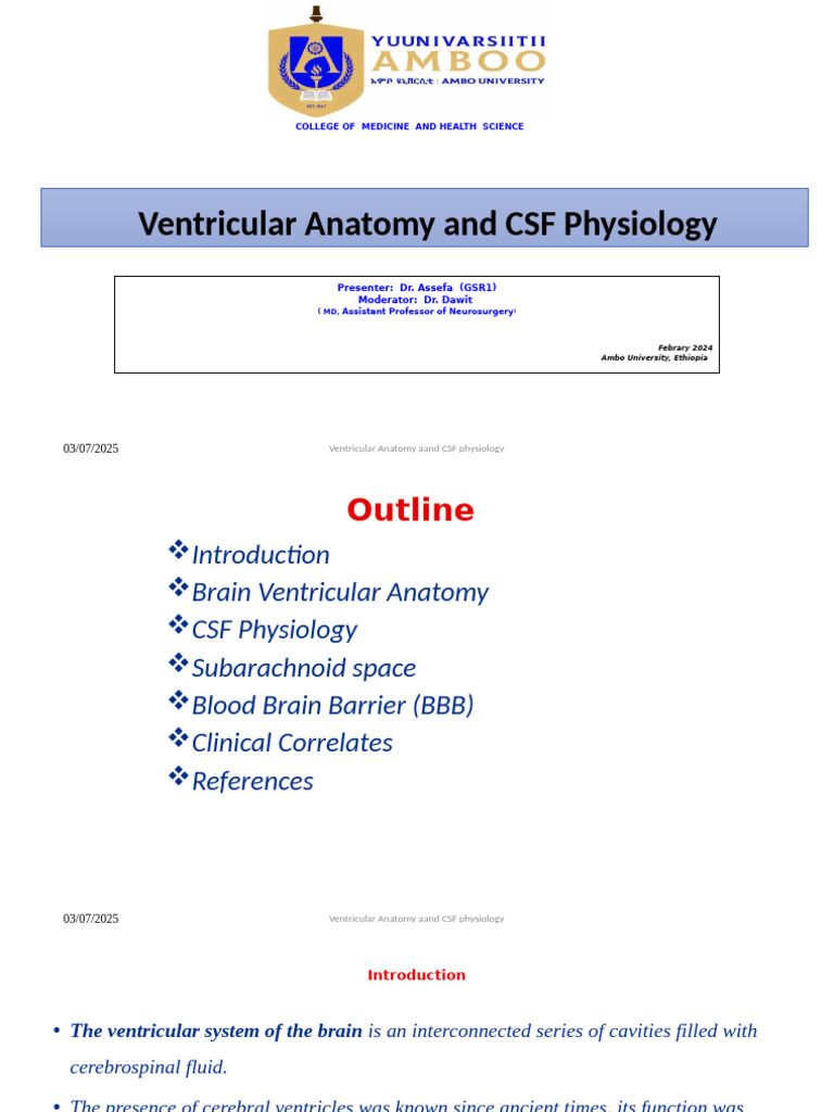 Ventricular Anatomy & CSF Physiology Guide | PDF | Cerebrospinal Fluid ...