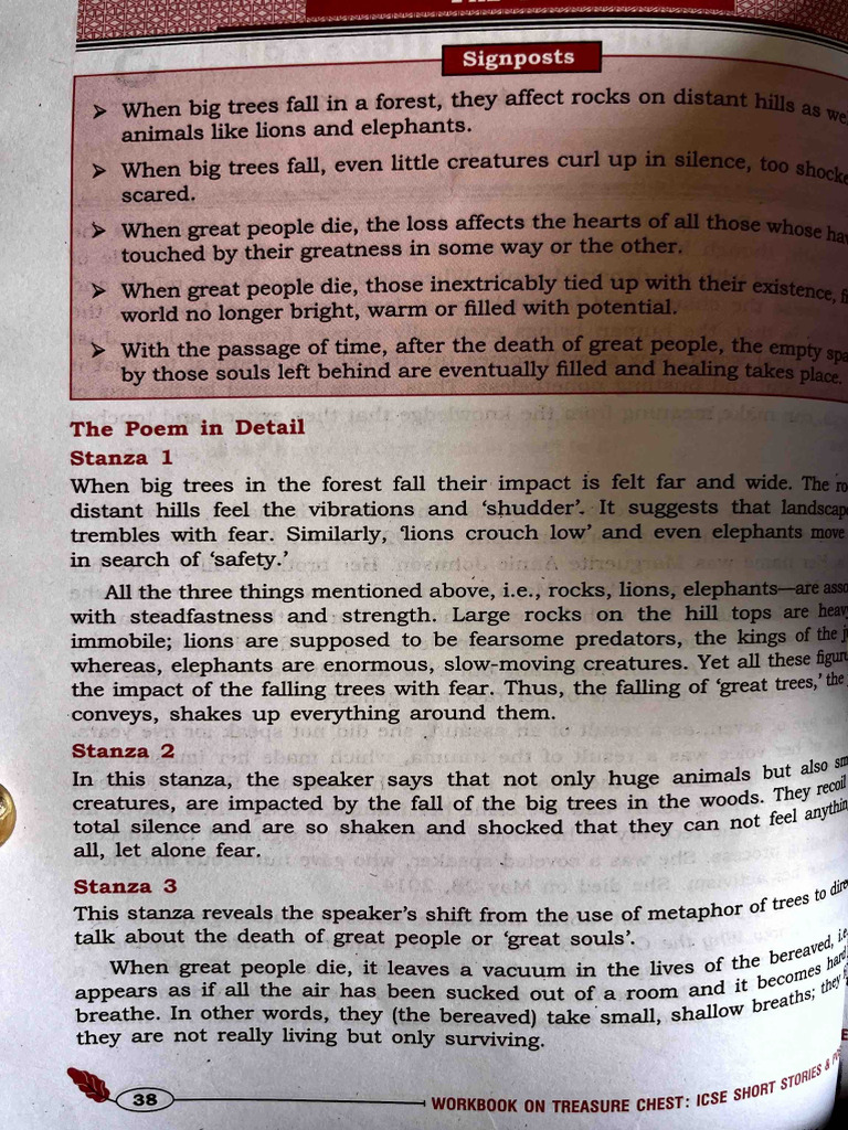 When Great Trees Fall WB | PDF | Organisms | Biology