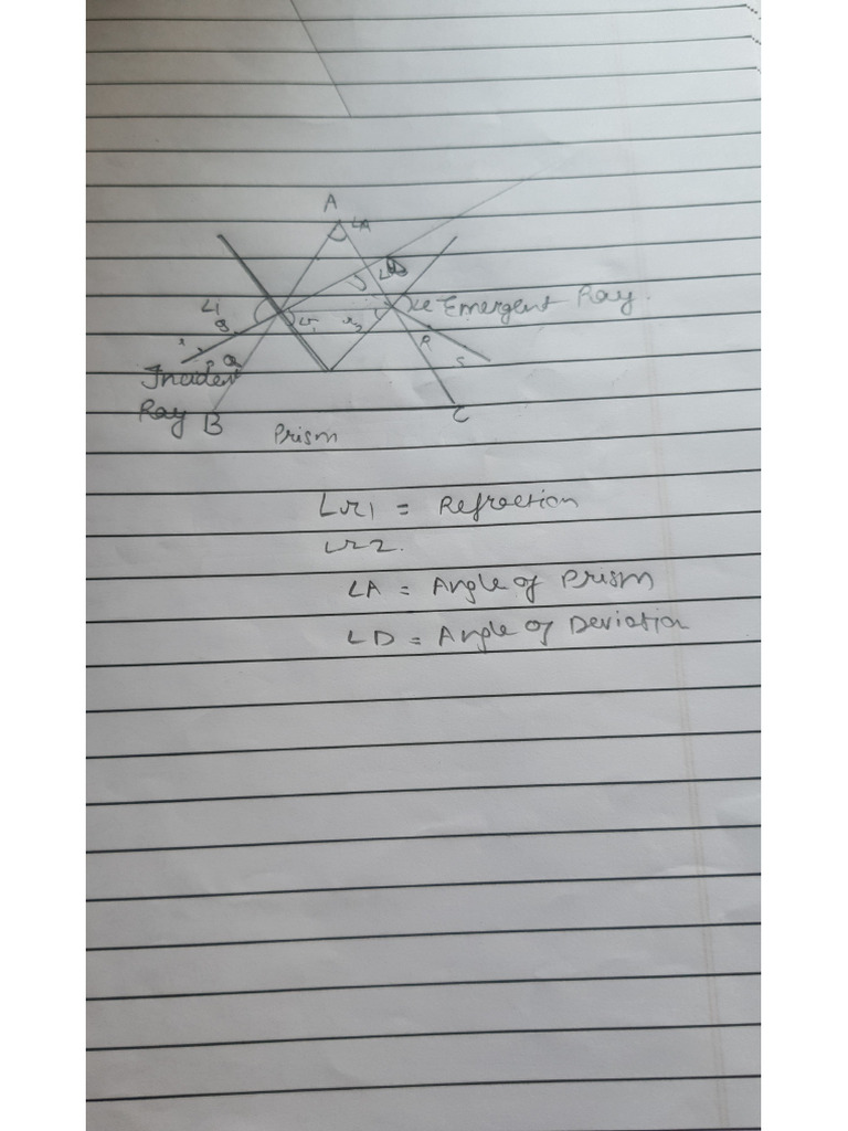 Saumya - Human Eye | PDF