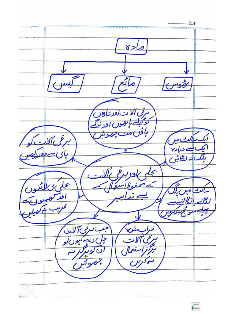 Mind Map and Flow Chart Class 3 | PDF