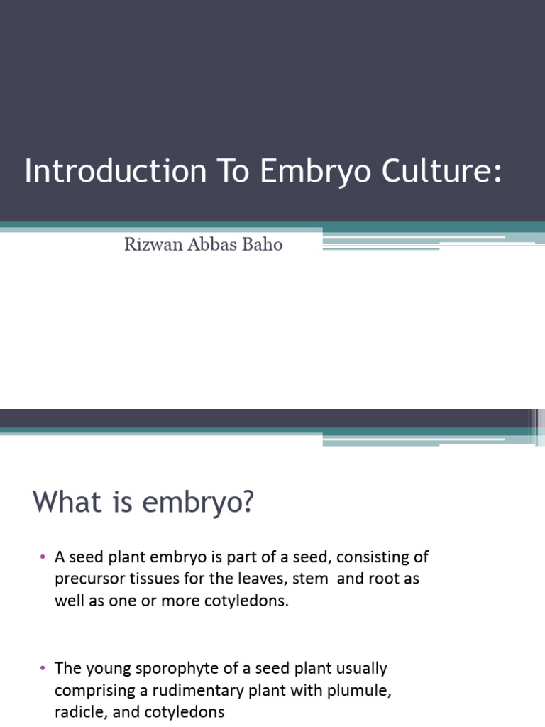 Embryo Culture Embryo Rescue | PDF | Seed | Embryo