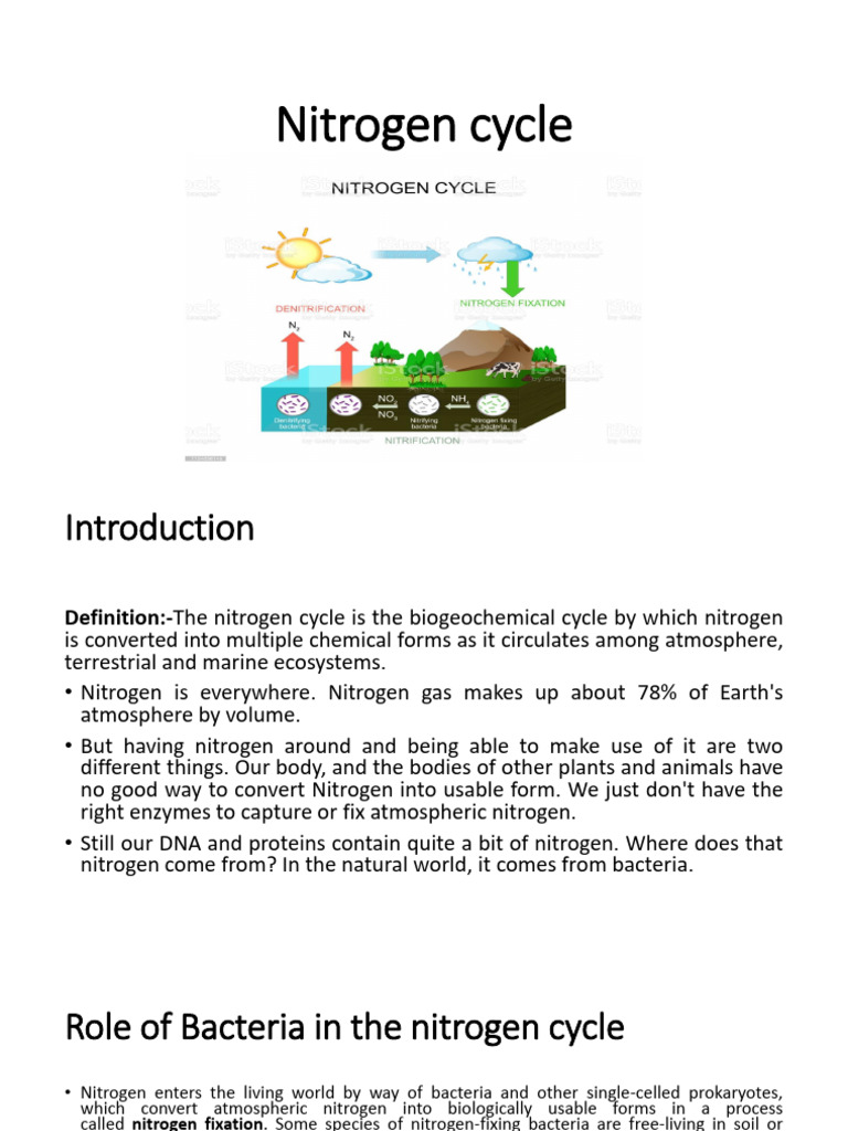Understanding the Nitrogen Cycle | PDF | Nitrogen | Nitrate