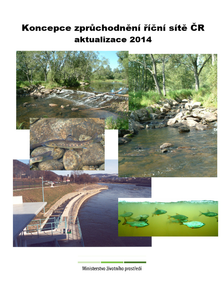 Koncepce Zpruchodneni Ricni Site Cr Aktualizace 2014 | PDF