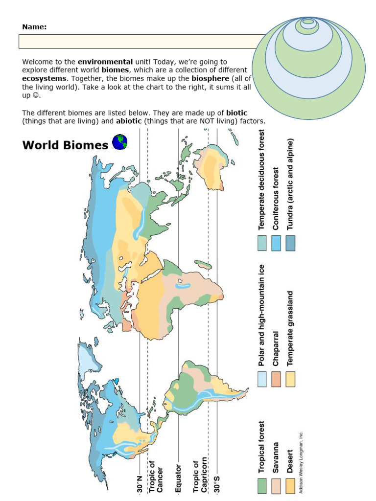 2020 Biomes Assignment | PDF
