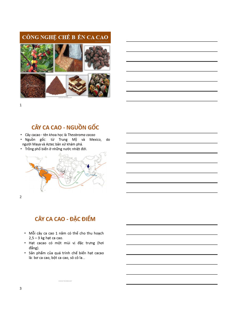 Cocoa Technology | PDF