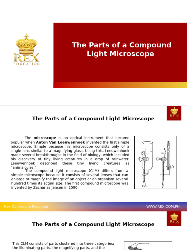 Parts of a Compound Light Microscope | PDF | Equipment | Optics