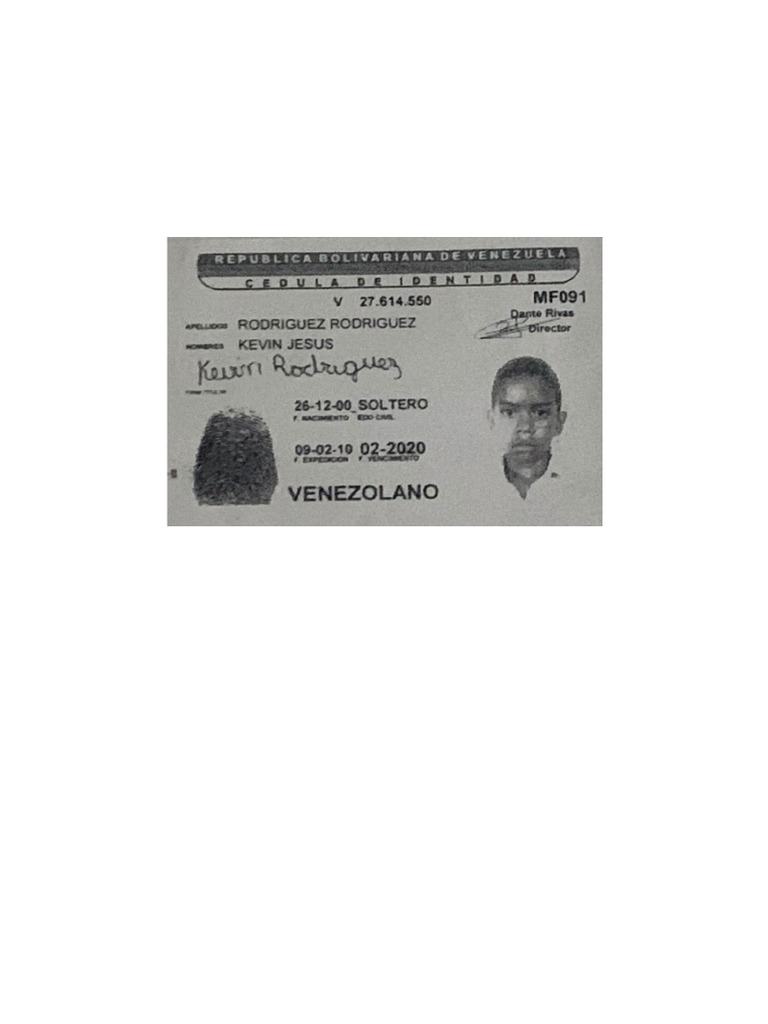 Documento Kevin | PDF