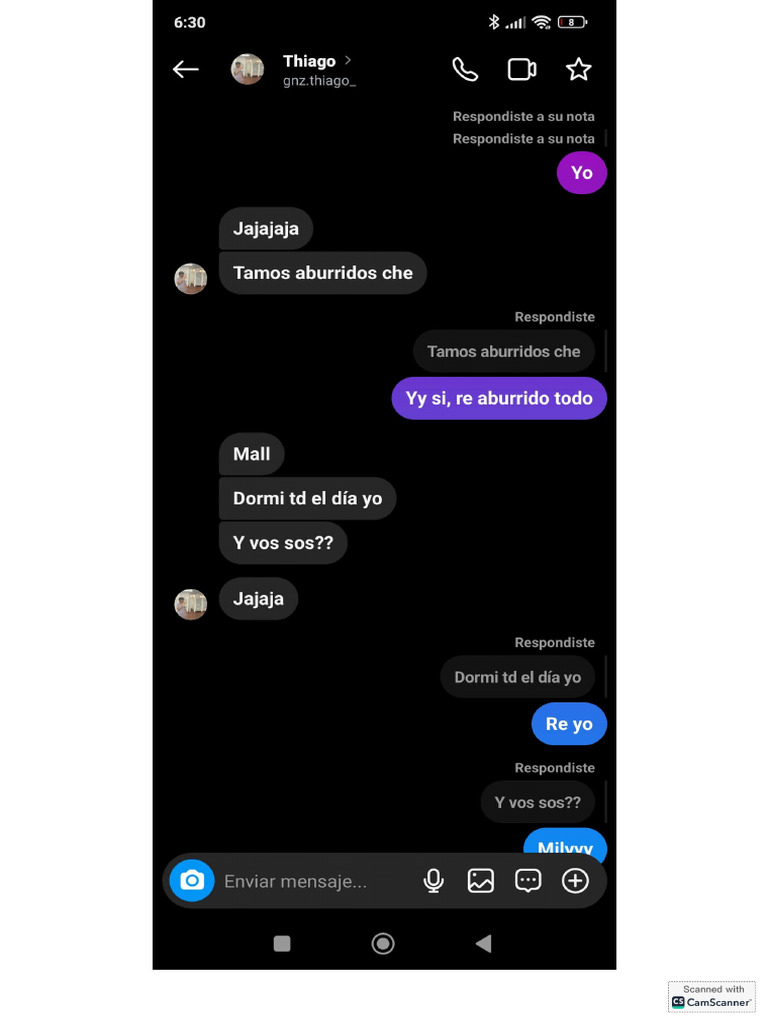 Chats Thiago y Mily | PDF