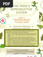 Reproductive System of Frog | PDF | Testicle | Sperm