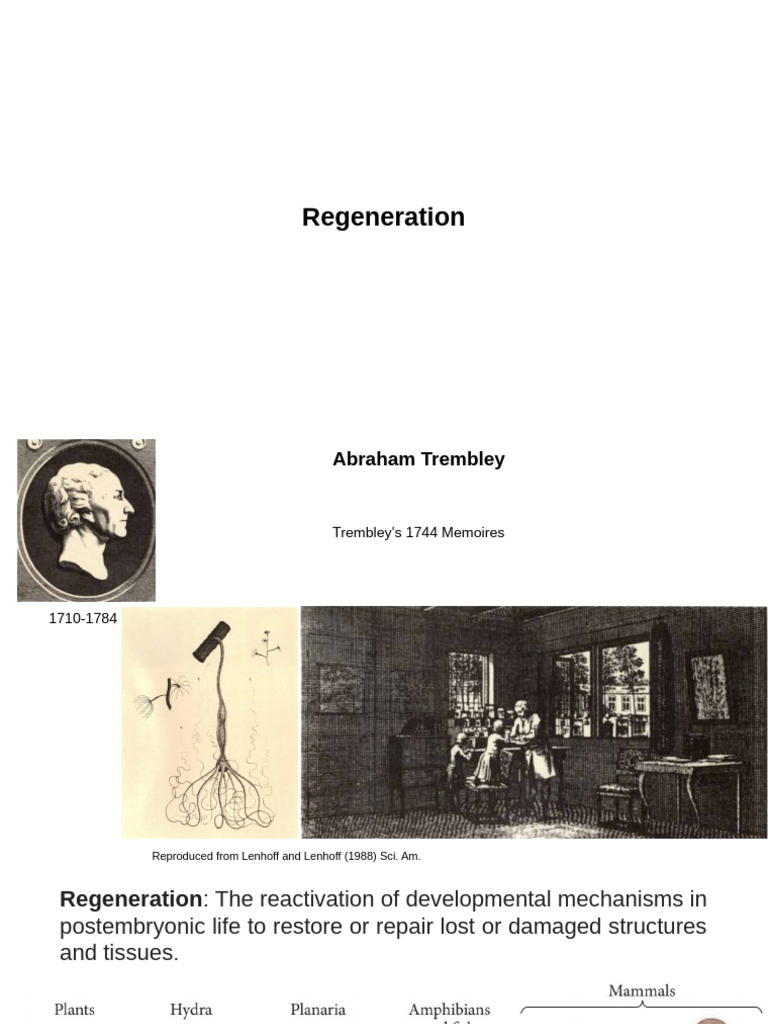 Regeneration05022025 PC Reddy | PDF