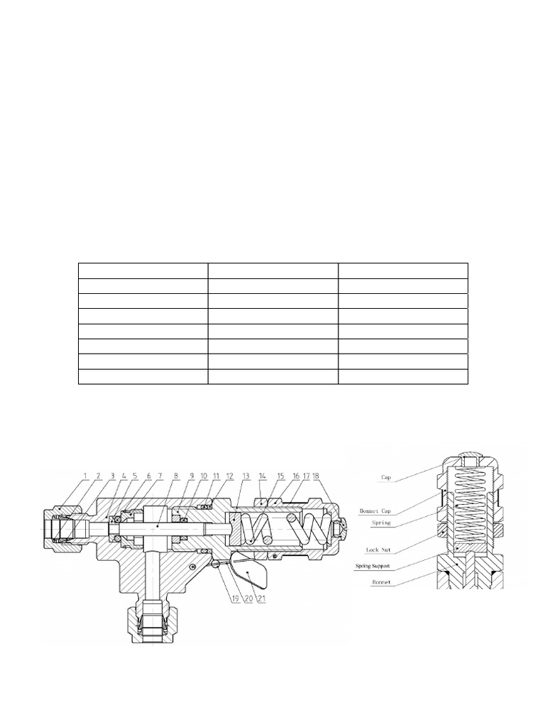 Relief Valve Installation and Adjustment Guide | PDF | Valve | Nut ...