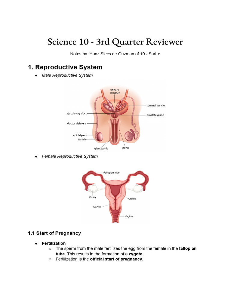 Science 10 - 3rd Quarter Reviewer | PDF | Menstrual Cycle | Luteinizing Hormone