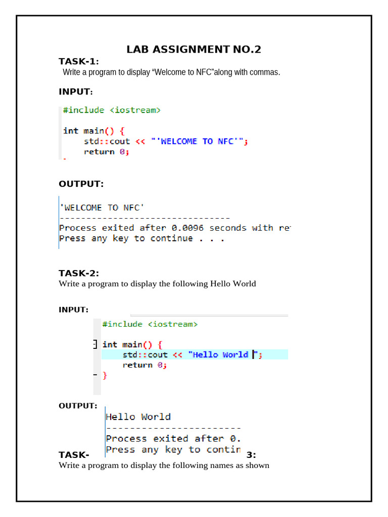 Lab Assignment (1) C++, Hamza | PDF