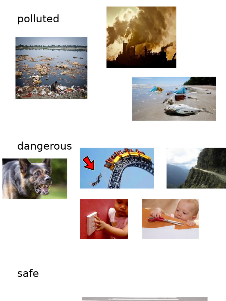 Lesson 3 A Safe Place | PDF