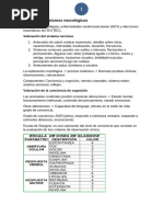 Nanda Nic Noc | PDF | Dolor | Cerebro