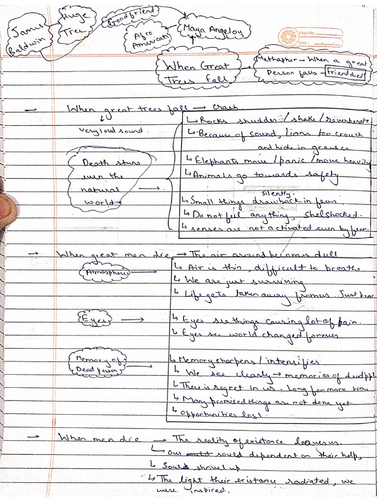 When Great Trees Fall Handwritten Notes | PDF