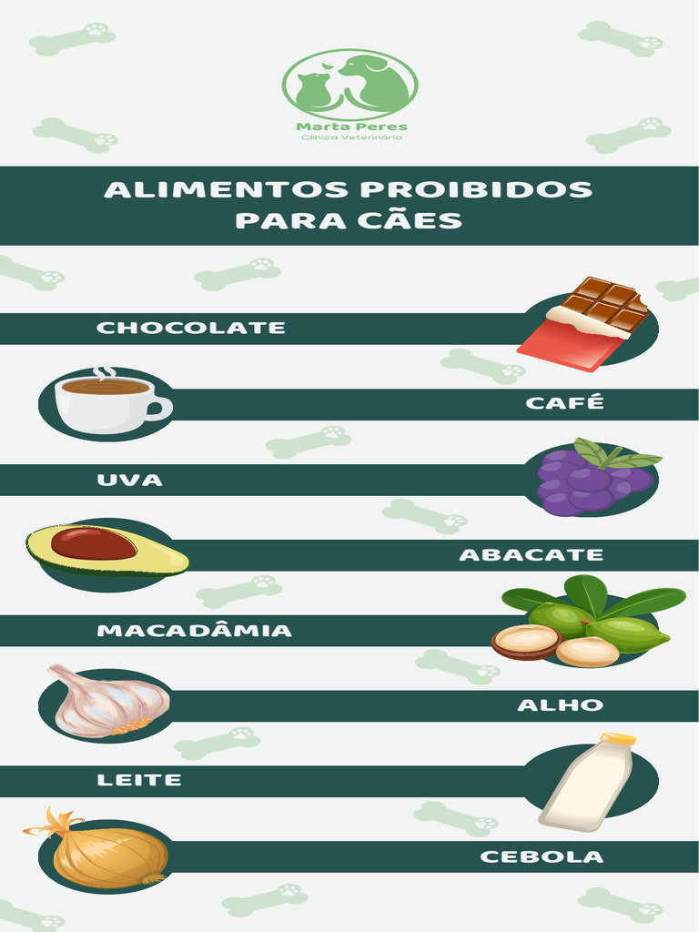 Infográfico clínica veterinária alimentos proibidos para cães simples ...