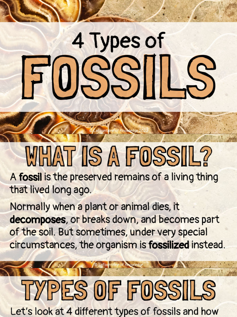 GS Types of Fossils | PDF