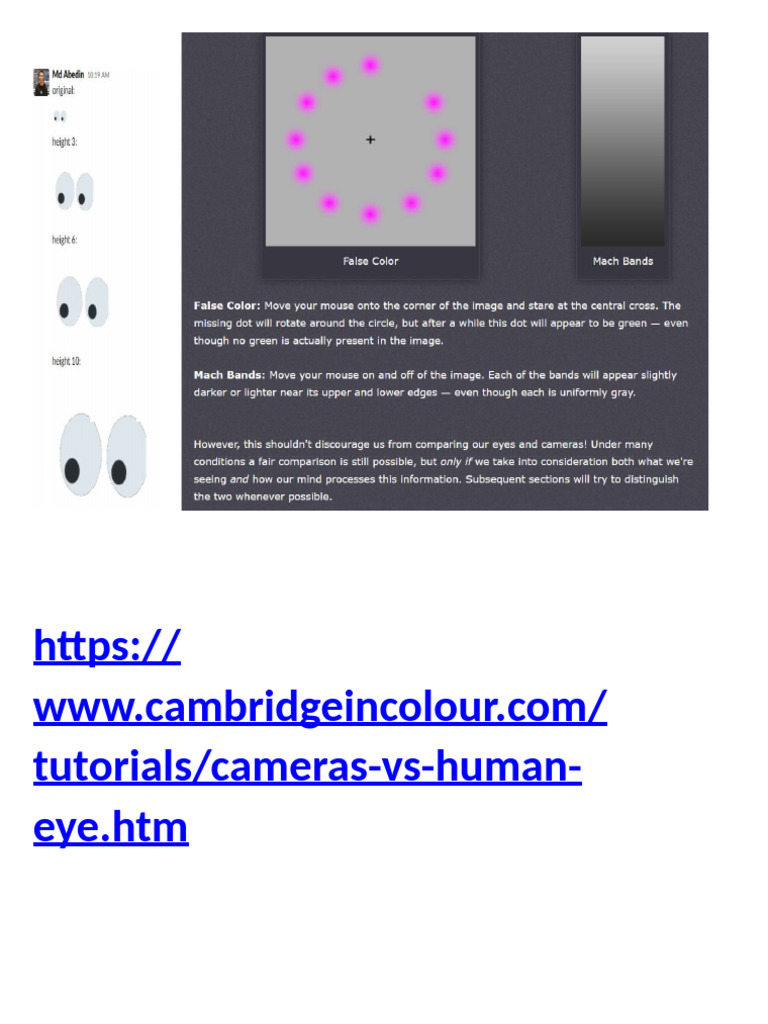 Research - Link About Blink | PDF