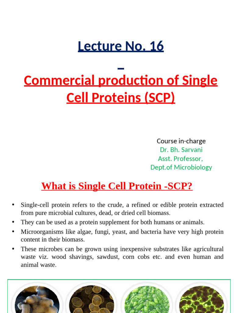 Lec. 16 Commercial Production of Single Cell Proteins | PDF | Yeast ...