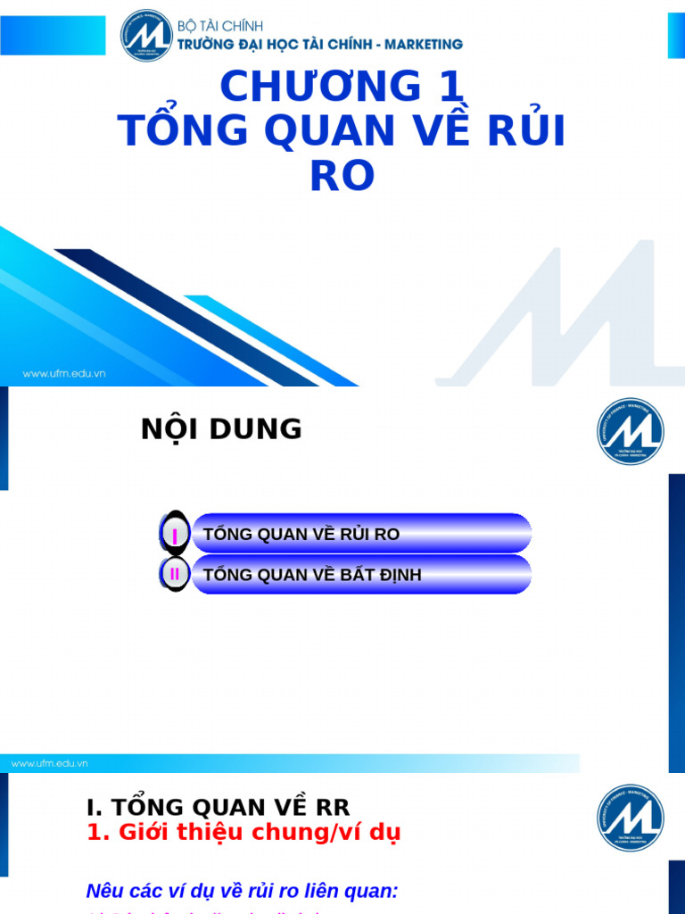 Chuong 1 Tong Quan Ve Rui | PDF