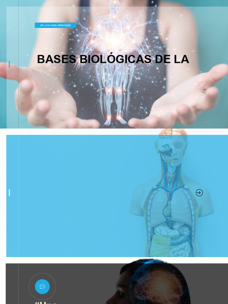 Bases Biológicas de La Conducta: Dr. Juan Osiel Fernández | PDF ...