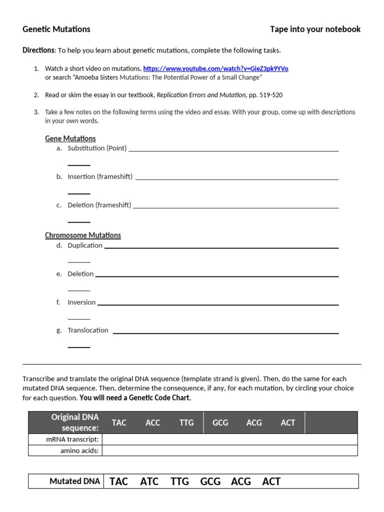 Genetic Mutations Practice Worksheet TRY THIS 1516h | PDF | Point ...