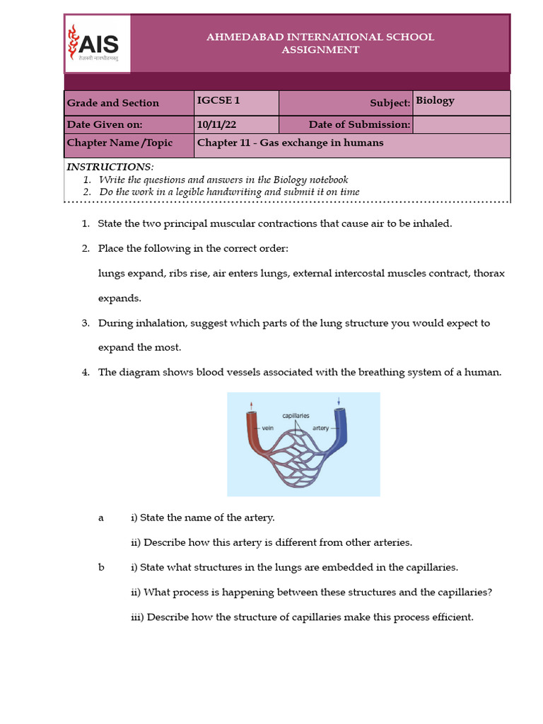 AIS - 2022-2023 - IG8 - Chapter 11 - Assignment 1 | PDF