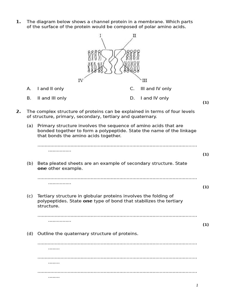 Protein Plenary Questions | PDF | Proteins | Protein Structure
