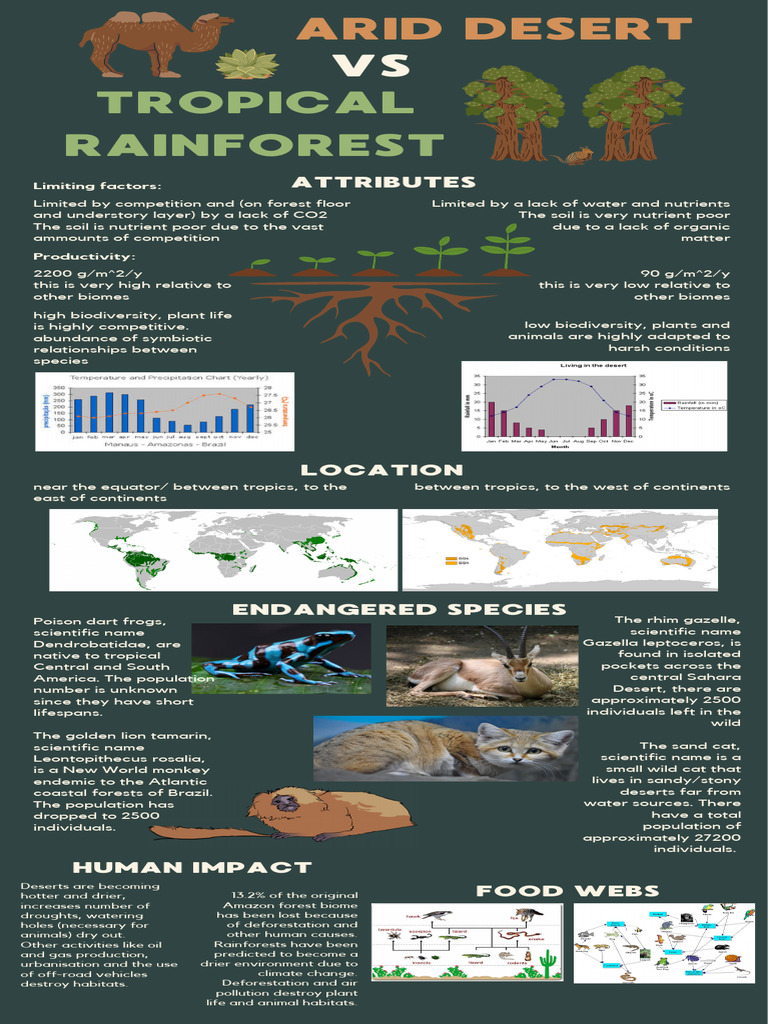 Biodiversity in Deserts vs Rainforests | PDF | Rainforest | Tropics