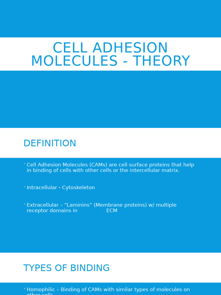Cell Adhesion Molecules - Theory | PDF