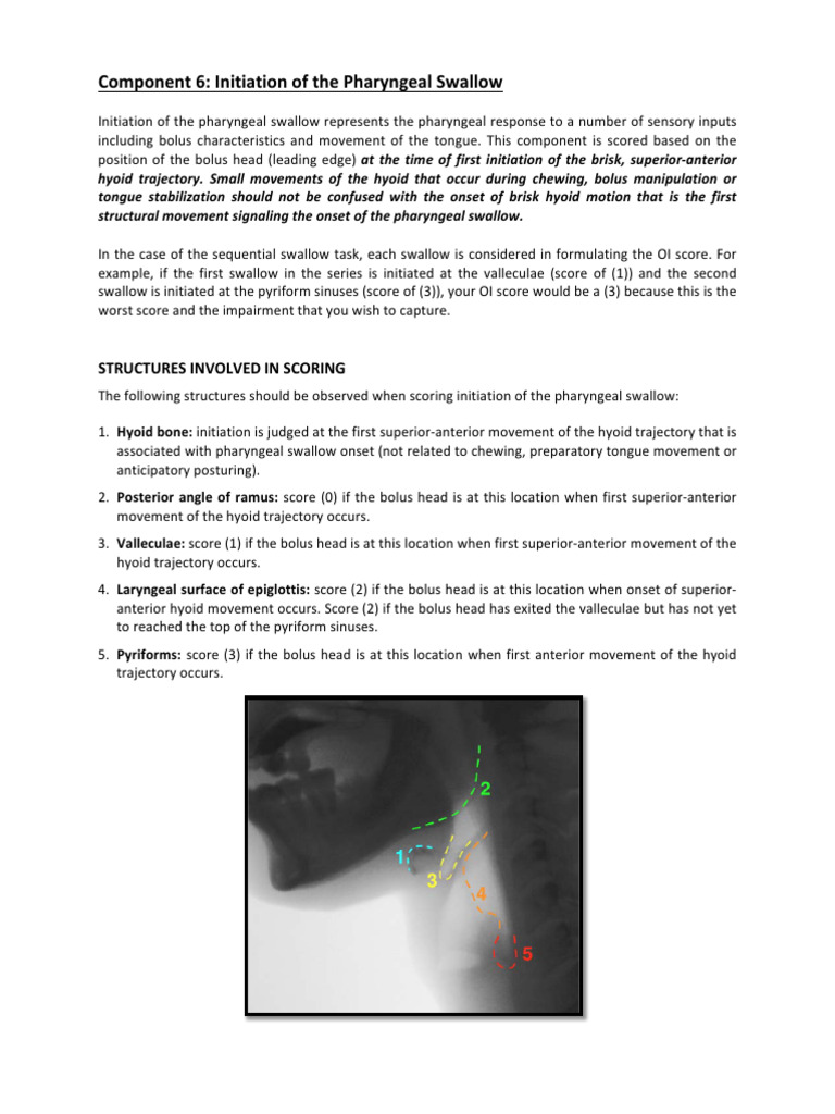 Scoring Pharyngeal Swallow Initiation | PDF | Human Head And Neck ...